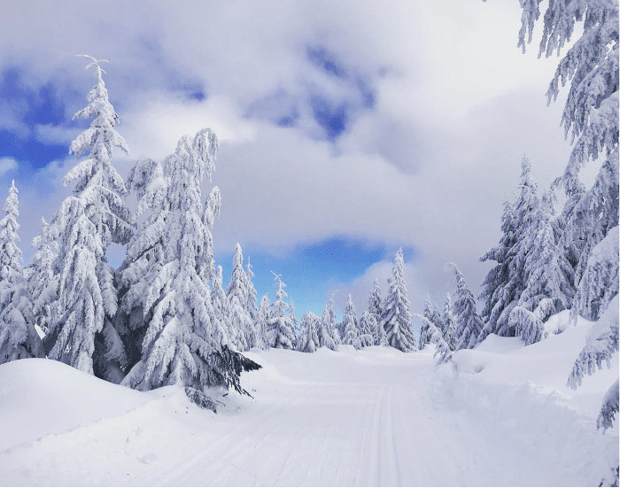 Play - Things To Do in Bothell | Begin at Bothell