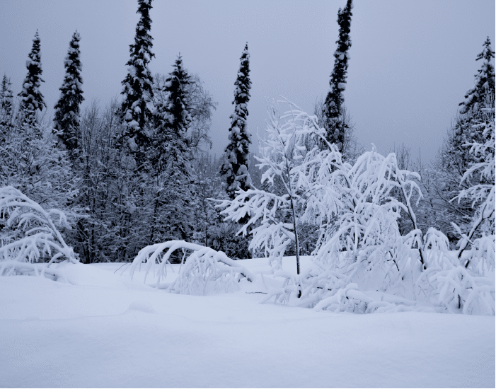 Crystal Springs Sno-Park - Begin at Bothell